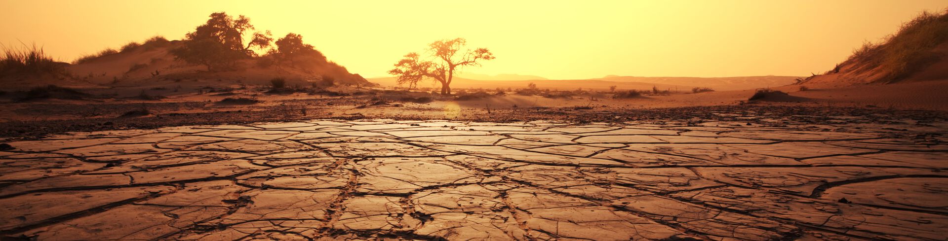 What Is Drought? Discover All Types of Drought | Aquasana