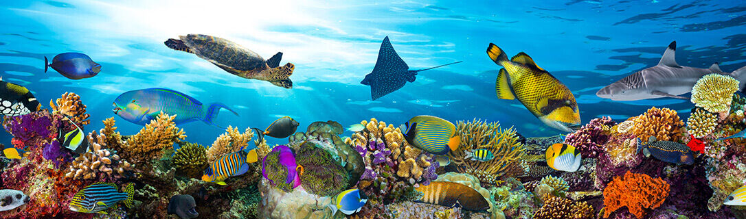 How Climate Change is Increasing Water's Acid Level | Aquasana