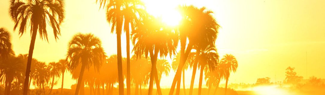 Summer Heat and Hydration