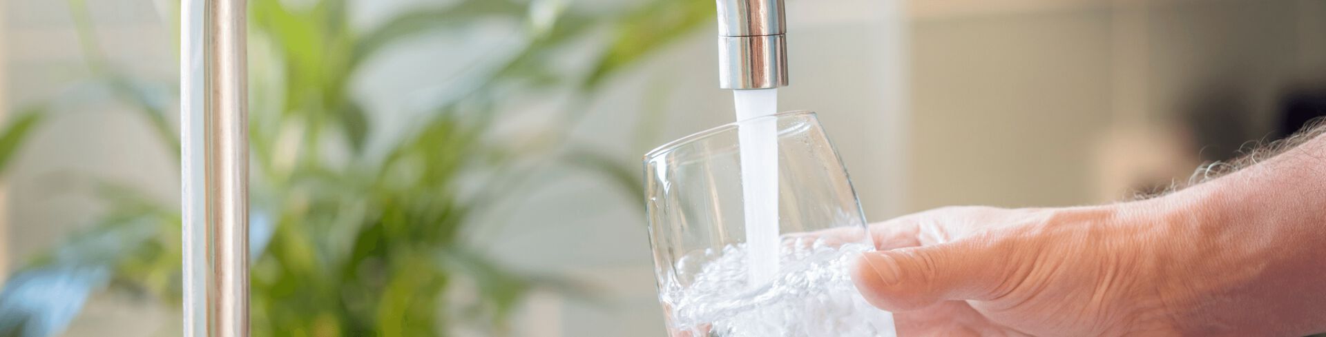 Water Filter vs. Water Purifier: What is the Difference? | Aquasana