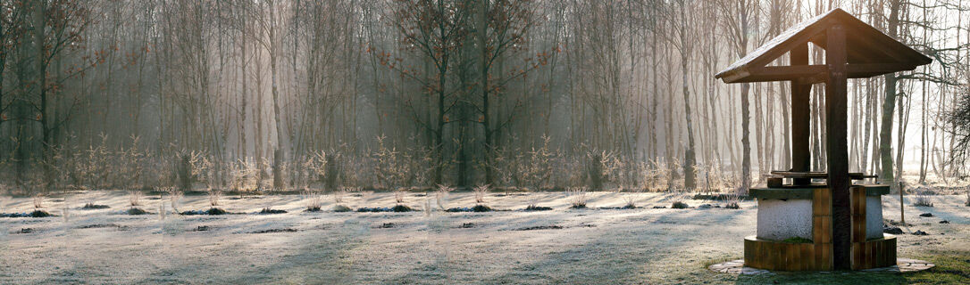 The Importance of Testing Well Water | Aquasana