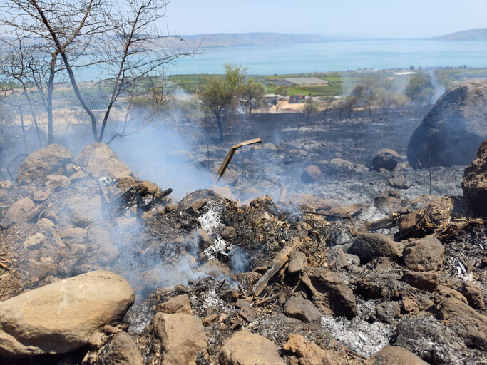 How Wildfires Affect Water Quality | Aquasana